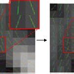 A The Raw DTI Measurements Are Processed By The DTI Preprocessing Download Scientific Diagram