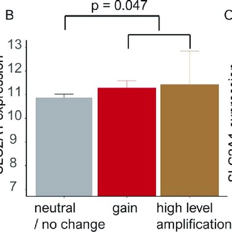 Bar Plots Showing Slc2a1 Expression According To Mutation Copy Number Download Scientific