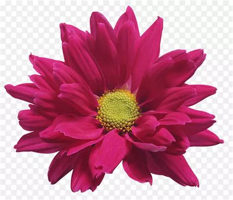 Png Png