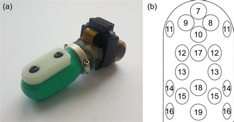 A The Biotac Sensor B The Positions Of The Electrodes Within The Download Scientific