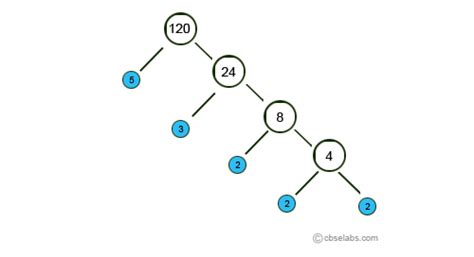 Factorization Cbse Tuts