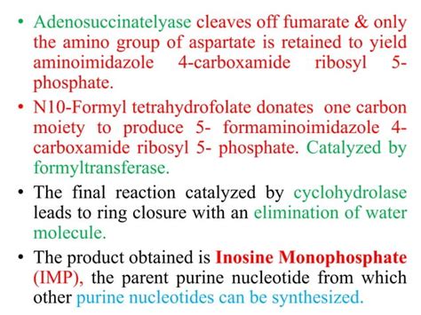 Biosynthesis Of Purine And Pyrimidine Pptx Chemistry Science