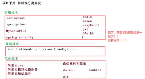 前后端分离项目知识汇总（开发流程，跨域，开发接口）前后端分离项目怎么介绍 Csdn博客