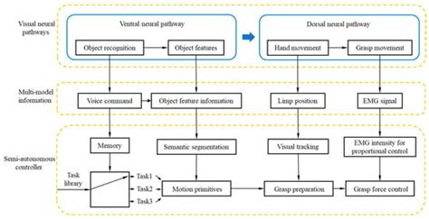 A Semi Autonomous Hierarchical Control Framework For Prosthetic Hands