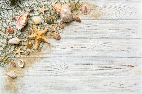 여름 시간 개념 컬러 테이블에 아름다운 불가사리와 바다 조개가있는 평평한 평지 구성 텍스트를위한 복사 공간이있는 상단 전망 여행 주제에 대한 스톡 사진 및 기타 이미지