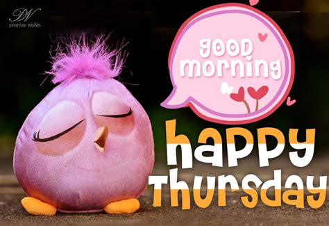 Good Morning Happy Thursday Cutie Premium Wishes