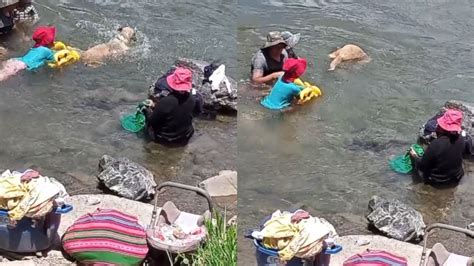 Día familiar Mujer lava ropa en el río mientras su perrito disfruta de un rico chapuzón VIDEO