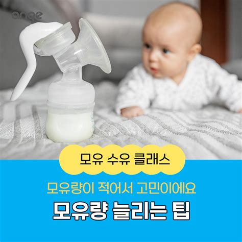 모유량 늘리기 꿀팁 모음zip 완모를 위한 모유수유 성공법 네이트뷰