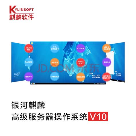 银河麒麟高级服务器操作系统v10 永久许可 适配国产cpu 浙江新远方信息产业发展有限公司