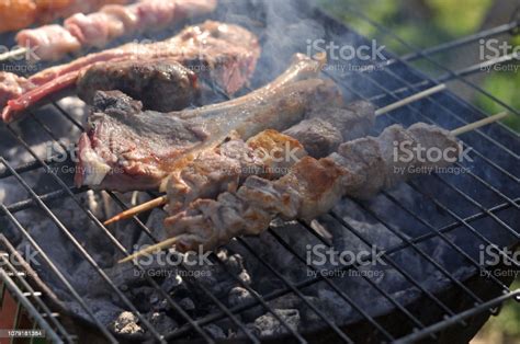 맛 있는 믹스 고기와 치킨 케밥 정원에서 키프로스 Meze 및 Kebap 바베 큐 파티 0명에 대한 스톡 사진 및 기타 이미지 0명 고기 닭고기 Istock