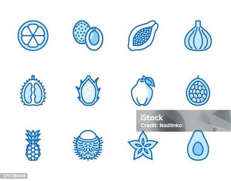 이국적인 과일 베리 플랫 라인 아이콘 세트 파파야 드래곤 과일 람부탄 무화과 망고스틴 아보카도 스타 프루트 벡터 일러스트레이션