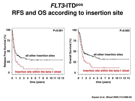 Ppt Flt3 Itd And Flt3 Inhibitors In The Setting Of Allogeneic Stem Cell Transplantation For