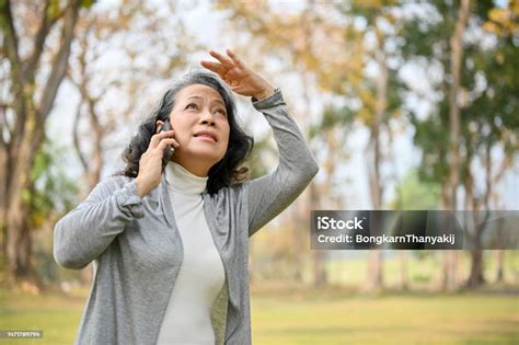 피곤한 60대 아시아 여성이 누군가를 부르고 공원에서 손자와 함께 길을 잃는다 60 64세에 대한 스톡 사진 및 기타 이미지 60 64세 60 69세 나무 Istock