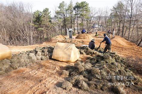경기도 파주시 도내리 함양박씨 종중묘역에 사초 잔디작업 두번째 날입니다 용미리제1묘지 용미리제2묘지 벽제리묘지 묘지이장 파묘 묘지개장 묘지화장 파주시묘지이장