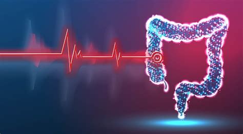 결장 소장 소화 시스템 질병의 포인트 건강 및 의료 개념 외과 의사 기술 추상 낮은 폴리 와이어 프레임 메쉬 디자인 빨간색과 파란색 배경입니다 벡터 일러스트레이션 창자에