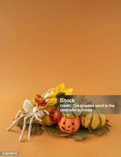 가을과 할로윈 2022 가을 꽃 호박 및 거미 해골이있는 스쿼시 배열 많은 종류의 꽃이 주황색 배경에 쪼그리고 앉습니다 최소한의 구성 10월에 대한 스톡 사진 및 기타