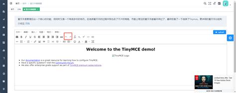 tinymce富文本编辑器编辑时撤销数据丢失bug · issue 3656 · panjiachen vue element admin · github