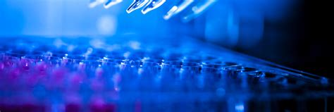 D L Methamphetamine Isomers Explained Usdtl