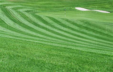 What Grass Is Used On Golf Course Fairways At Nancy Hutchinson Blog