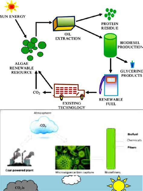 Algae Biofuel Production Overview Pdf