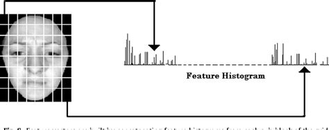 Figure 1 From Local Binary Patterns For Multi View Facial Expression