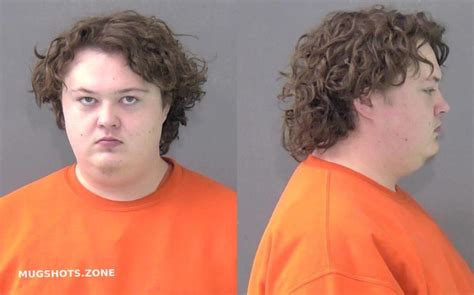 Davis Tyler Eliis Milton 03202024 Bell County Mugshots Zone