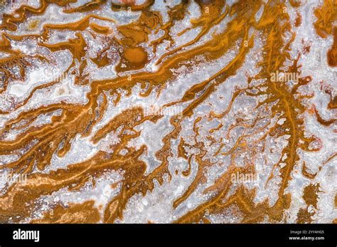 Artistic Close Up Showcasing Intricate Patterns And Textures Formed By