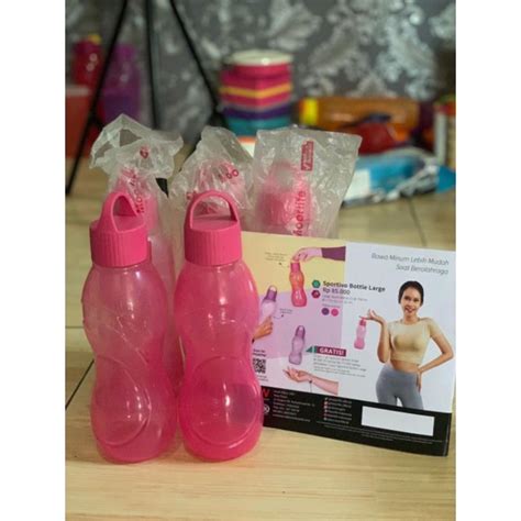 Jual Tupperware Second Botol Flip Anak Botol Eco Karakter Anak Botol