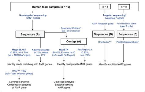 Flowchart Describing Three Culture Independent Methods To Identify