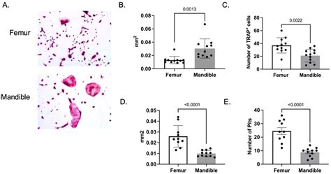Analysis Of Bulk Rna Seq Data From Monocytes Of 1 Year Old Mice A Download Scientific