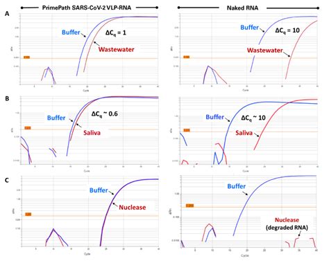PrimePath SARS CoV 2 VLP RNA Control
