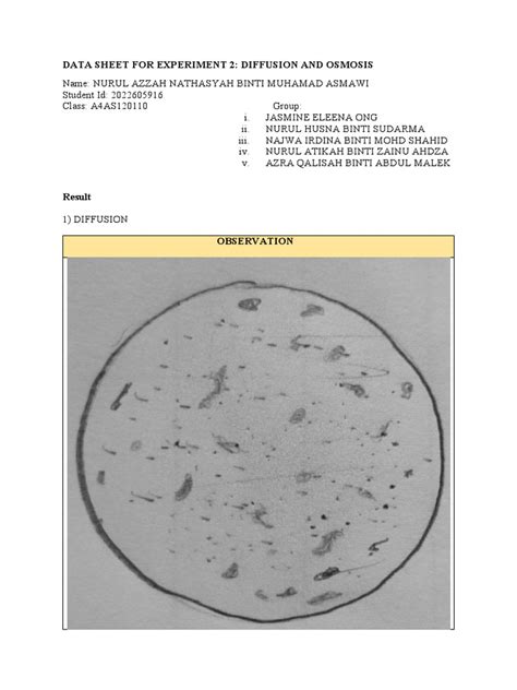 Understanding Diffusion And Osmosis Through A Potato Cylinder Experiment Pdf Osmosis Diffusion