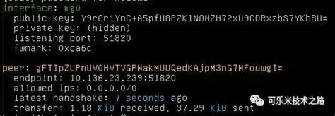 使用docker快速部署wireguard 可乐米技术之路