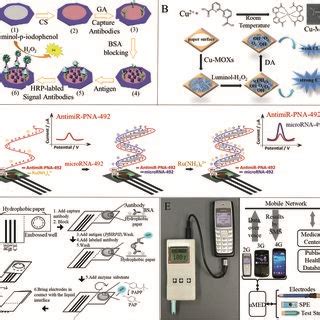 Applications Of Paper Based Sensors For Disease Detection Based On Download Scientific Diagram