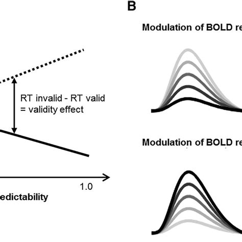 Schematical Illustration Of The Hypothesized Effects Of Cue Download Scientific Diagram