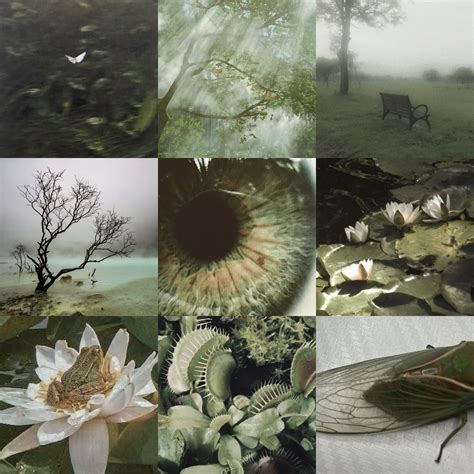 Pale Green Nature Moodboard Aesthetic Art Mood Board Inspiration