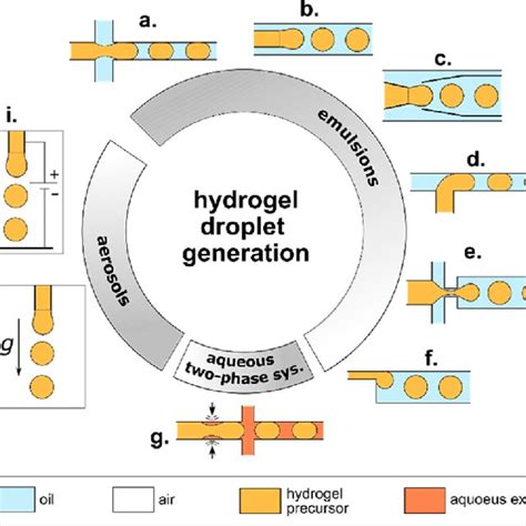 Microfluidic Junctions Used For Generation Of Hydrogel Droplets We