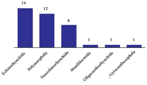 Orders Under Phylum Acanthocephala Species Level Diversity From
