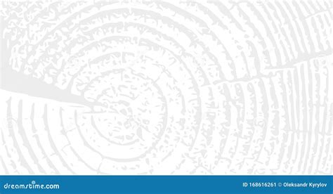 Annual Tree Growth Rings Trunk Cross Section Vector Background 84882786