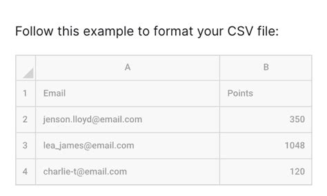 Importing Or Adjusting Your Customers Points