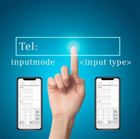 Input Type Inputmode E Acessibilidade Reinaldo Ferraz