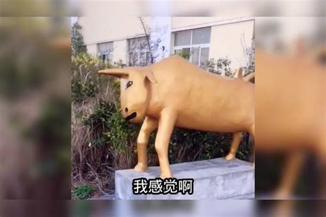 搞笑配音 公司开业请来的牛这牛挺霸气不厚道的笑了 牛挺 公司