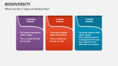 Loss Of Biodiversity PowerPoint And Google Slides Template PPT Slides