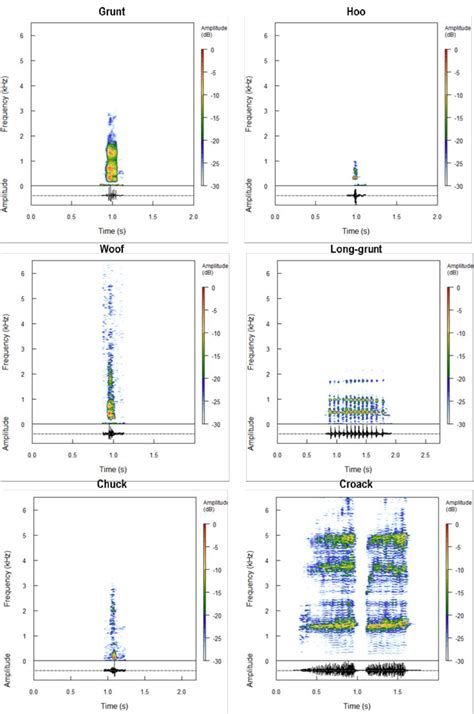 1 Sound Spectrograms Representation Illustrating The 6 Call Types