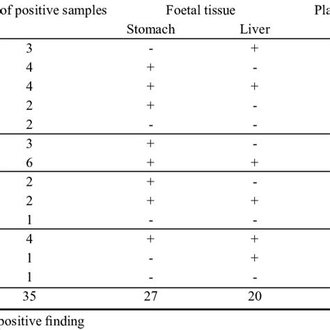 Primers Bacteria Target Genes Sequences Melting Temperature Tm Download Scientific