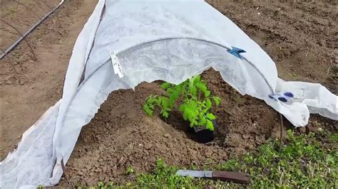 Рътене на семена и засяване на краставици и тиквички Тунел от Агрил