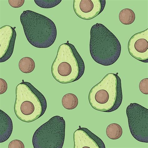 Page 15 Avocado Drawn Images Free Download On Freepik