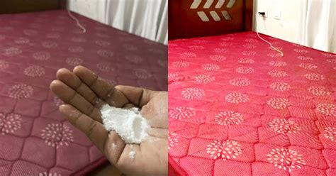 Bed Cleaning Easy Trick ബെഡ് ക്ലീനിങ് ഇനി എന്തെളുപ്പം വെള്ളവും വെയിലും വേണ്ട എത്ര അഴുക്ക്