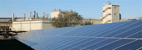 Nestlé España Fomenta La Sostenibilidad Del Café En Toda Su Cadena De