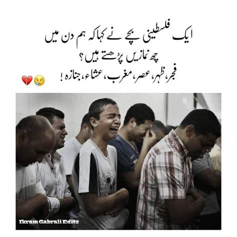 Syeda Amna On Linkedin Palestinewillbefree Palestinew